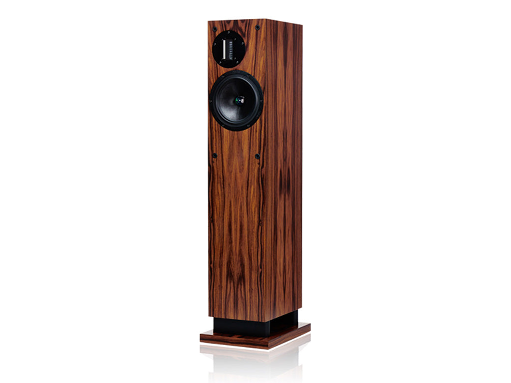 ProAc D20R : רמקולים רצפתיים פסיבים – במביט